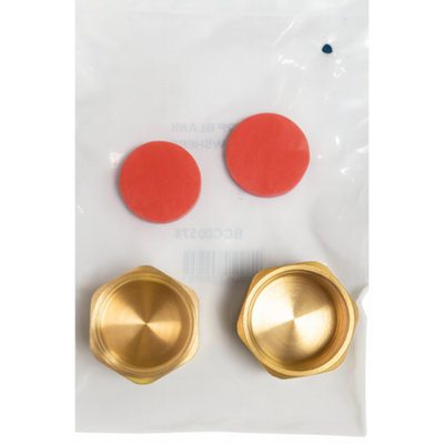 Westco 3/4" BSP Blank Plug & Washers (Pair) - Brass End Caps with Fibre ...