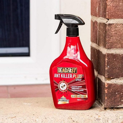 Westland Deadfast Ant Killer Plus Spray 750ml Ready to Use Kills Ants ...