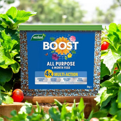 Westland Multi Action Pellet Plant Feed Granules 2kg