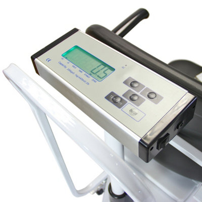 Wheelchair Scales & A1-12 Indicator