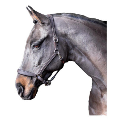 Whitaker Ready To Ride Leather Horse Headcollar Black (Pony)