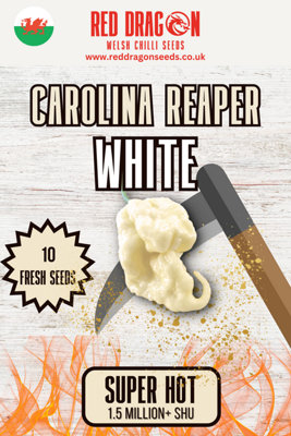 White Carolina Reaper Chilli Seeds - 10 Fresh Seeds
