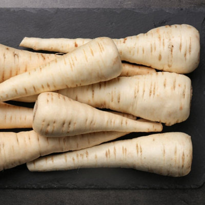 White Gem Parsnip Seeds - Easy to Grow Sweet Bolting Resistant Premium ...