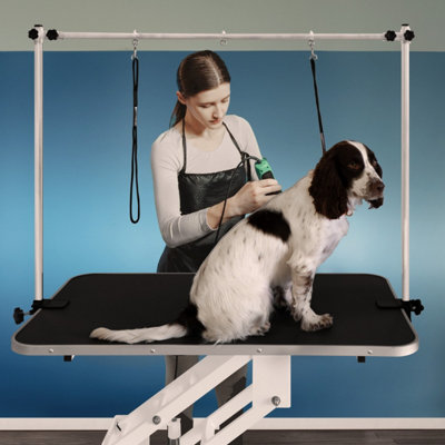 White Hydraulic Grooming Table - Black Table Top