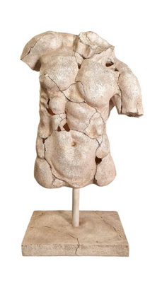 White Torso Ornament on Stand