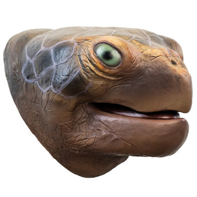 Wild Thingz Hand Puppet - Sea Turtle