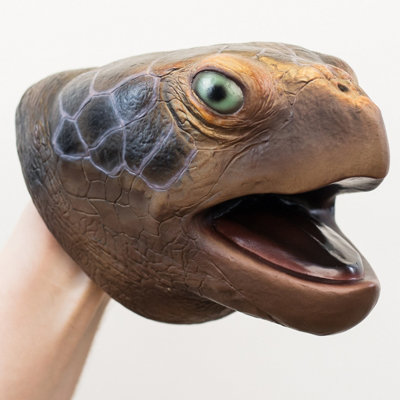 Wild Thingz Hand Puppet - Sea Turtle
