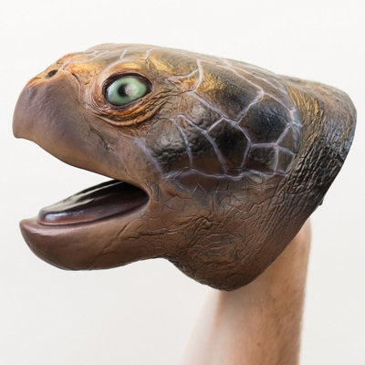 Wild Thingz Hand Puppet - Sea Turtle