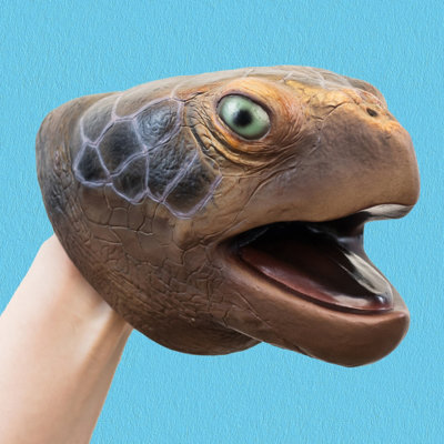 Wild Thingz Hand Puppet - Sea Turtle