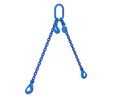 William Hackett Grade 10 (1.4-2t) 2 Leg 6mm Lifting Chain Sling with ...