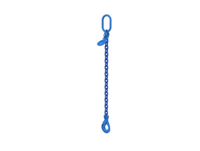 William Hackett Grade 10 (4t) 1 Leg 10mm Lifting Chain Sling with Self ...