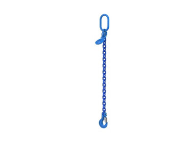 William Hackett Grade 10 (4t) 1 Leg 10mm Lifting Chain Sling with Sling ...
