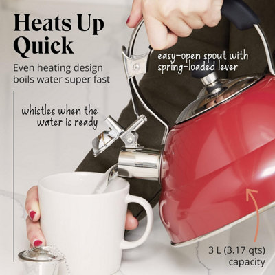 Willow & Everett Whistling Kettle - 3 Litre Stovetop Kettles w/Mirror ...