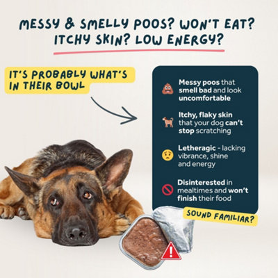 Wilsons Mixed Fresh Dog Food Bundle Natural Healthy Complete Nutrition ...