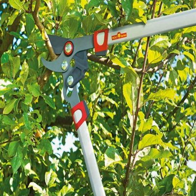 Wolf Garten RR900T POWER Cut Bypass Telescopic Loppers & RR2500 Pruner ...