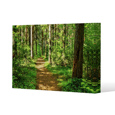 Woodland path (Canvas Print) / 127 x 101 x 4cm | DIY at B&Q