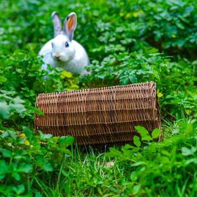 Woodside Wicker Rabbit Tunnel 20x20x38cm