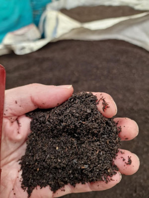 Wormganix Raw Organic Worm Castings Blend Peat & Chemical Free Soil ...