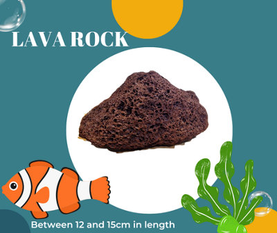 Wormganix Red Aquarium Terrarium Lava rock 12-15cm washed & hand selected