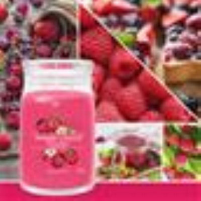Yankee Candle Signature Large Jar Red Raspberry | DIY at B&Q