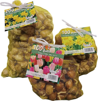 Yellow Narcissus Daffodil Bulbs - Big Buy Value Pack-100 Bulbs-Bee ...