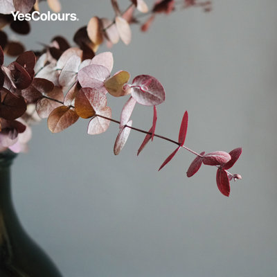 YesColours Calming Grey paint swatch, perfect colour match