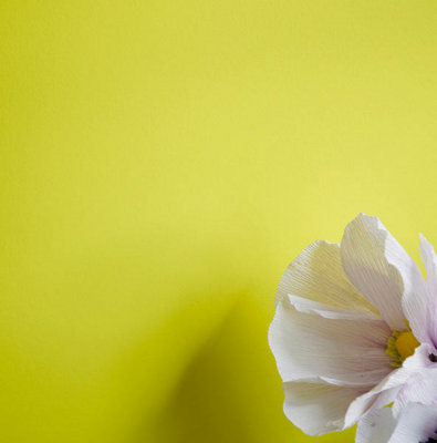 YesColours Electric Yellow paint swatch, perfect colour match