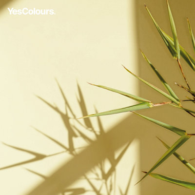 YesColours Fresh Yellow matt emulsion paint, 1 Litre