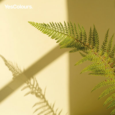 YesColours Fresh Yellow matt emulsion paint, 1 Litre