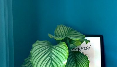 YesColours Loving Teal matt emulsion paint, 1 Litre