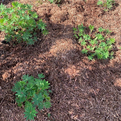 YouGarden 2 x 100L Strulch Mulch Straw Mulch in 9kg Bags, Natural Straw ...