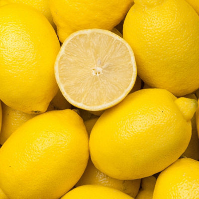 YouGarden Citrus Lemon 'Citron' Tree in 7/9cm Pot, Lemon Trees for ...