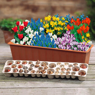 YouGarden Easy Garden Bulb Planting Set, 2 x 38 Pre-Positioned Mixed ...