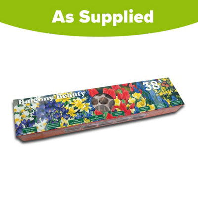 YouGarden Easy Garden Bulb Planting Set, 38 Pre-Positioned Mixed Bulbs ...