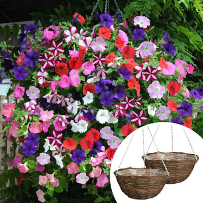 Yougarden Preplanted Petunia Wave Mix Rattan Hanging Baskets 2 X