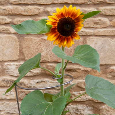 YouGarden - Ready to Rust Spiral Steel Plant Supports x 3