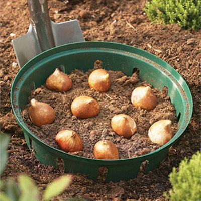 YouGarden Round Bulb Baskets, Set of Three 26cm Baskets, Bulb Planting ...