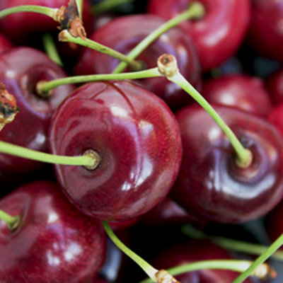 YouGarden Sweet Cherry 'Stella' Bare Root Tree, 1.2-1.4m Tall, Grow ...
