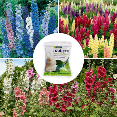 YouGarden Towers Bare Root Collection, 25 x Hardy Perennial Plants ...