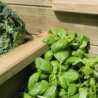 Zest 4 Tier Raised Wooden Bed Garden Layered Planter