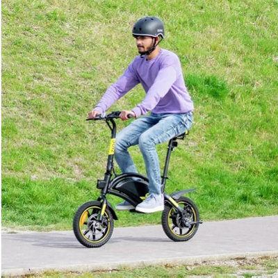 Zinc Venture 14inch Wheels Folding Electric Bike, Powerful 250W ...